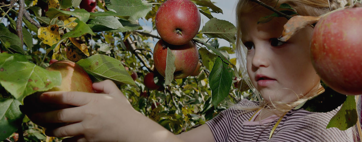 Frequently Asked Questions - Aamodt's Apple Farm