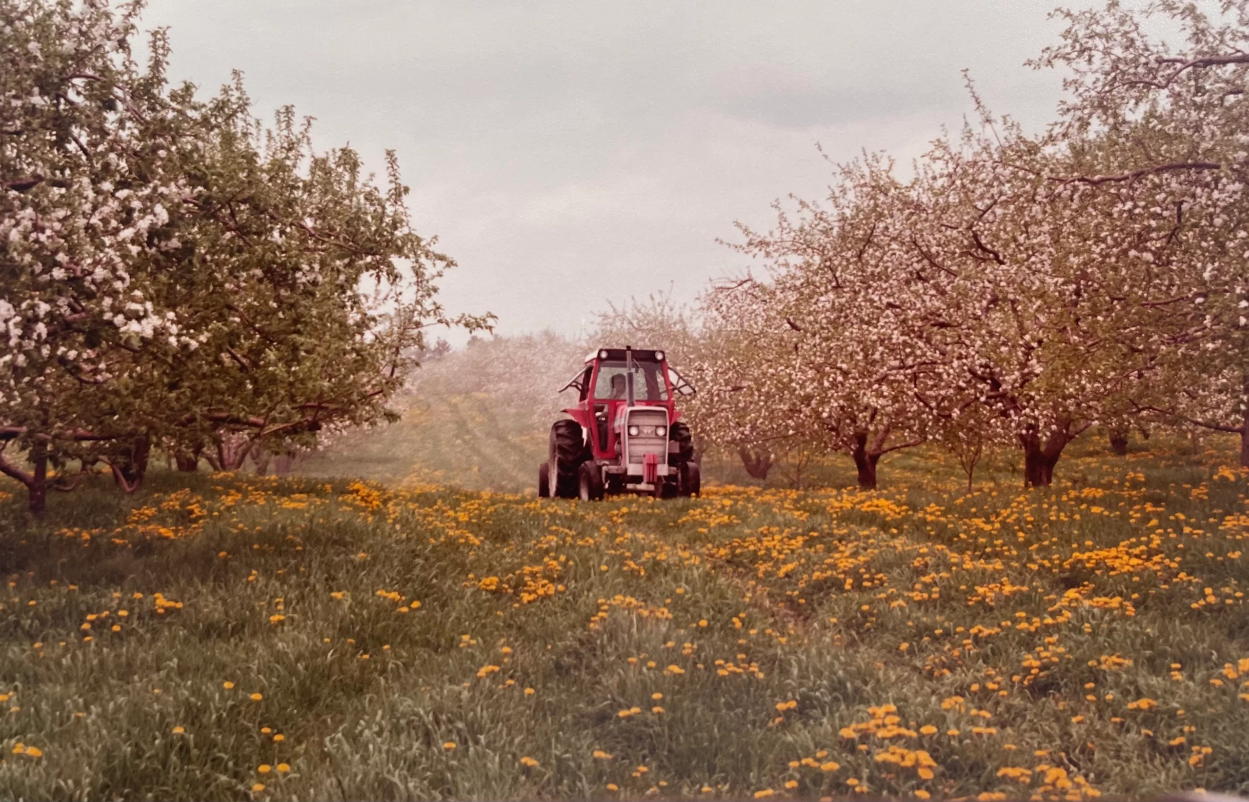 Family Owned Since 1948 | Aamodt's Apple Farm